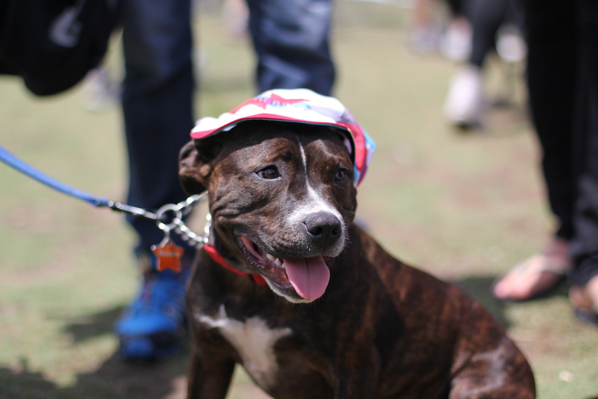The Rapha Supercross, Sydney