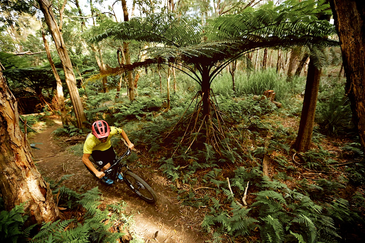 Tested: Cell Awaba 2.0