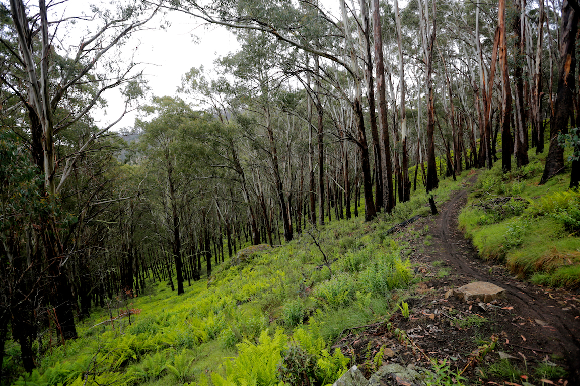 Photo Feature Preview: Riding the Australian Alpine Epic Trail, first