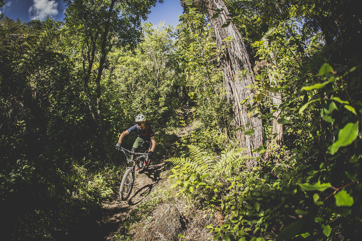 Tested: New SRAM Guide Ultimate Brakes