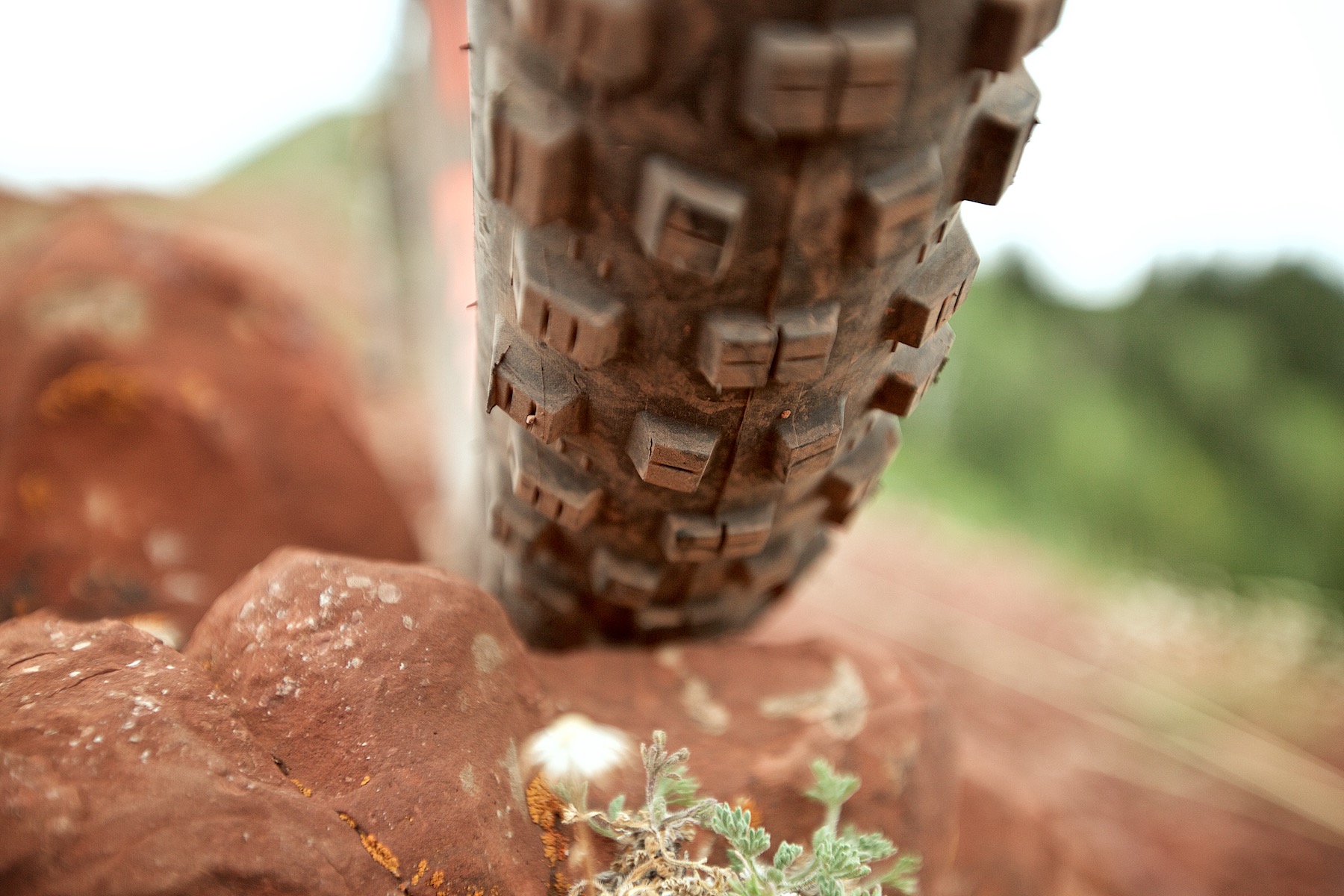 Tested: Scott Genius Plus & Scott Scale Plus