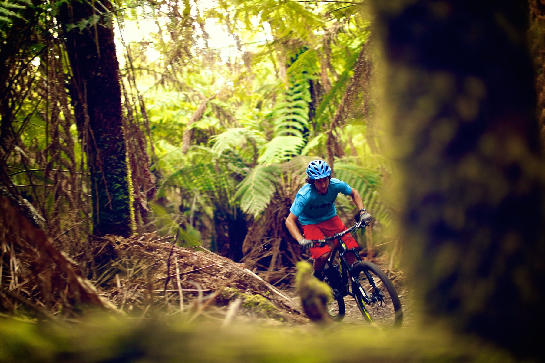 New Blue Derby Website with Trail Cam - A World First