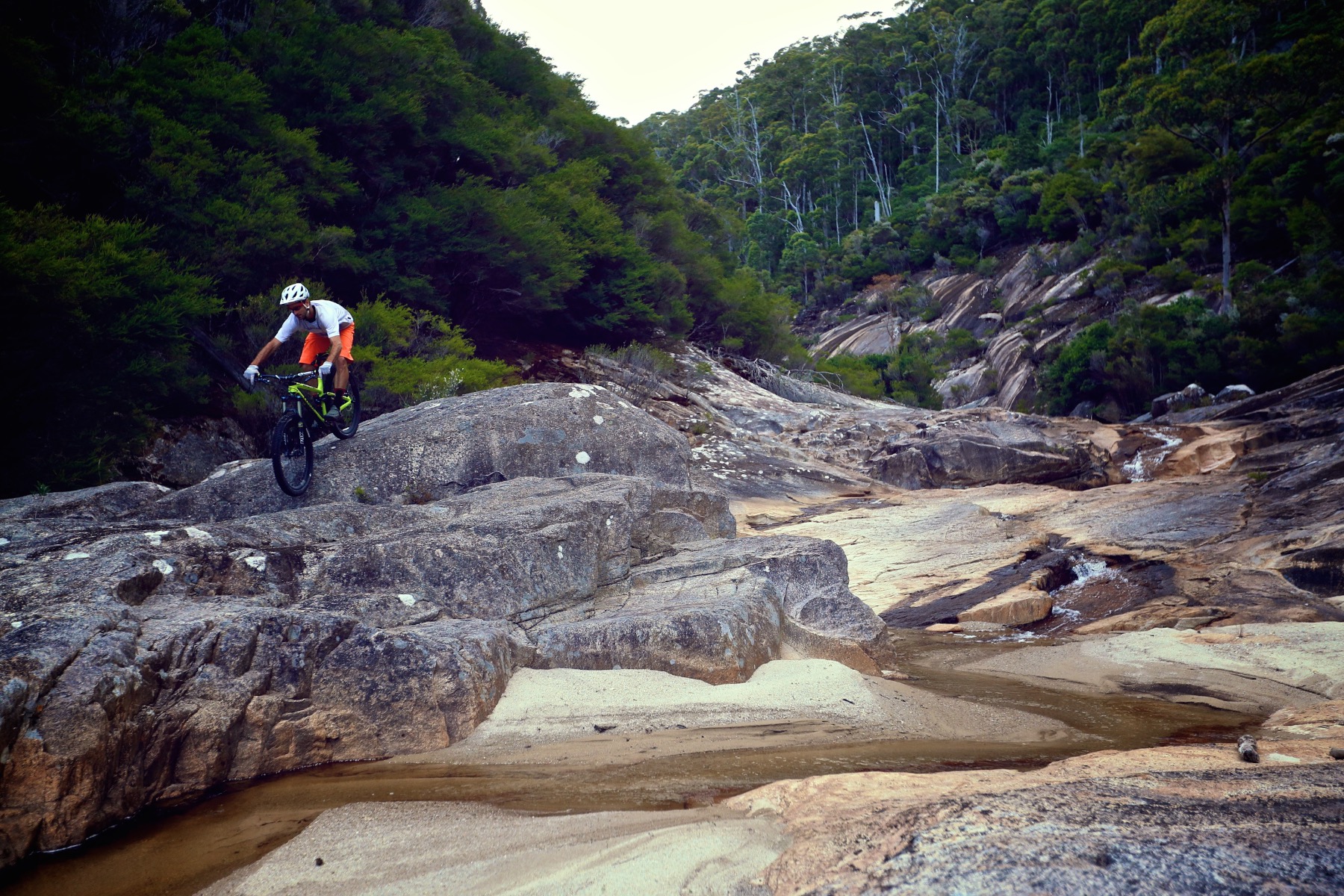 New Blue Derby Website with Trail Cam - A World First