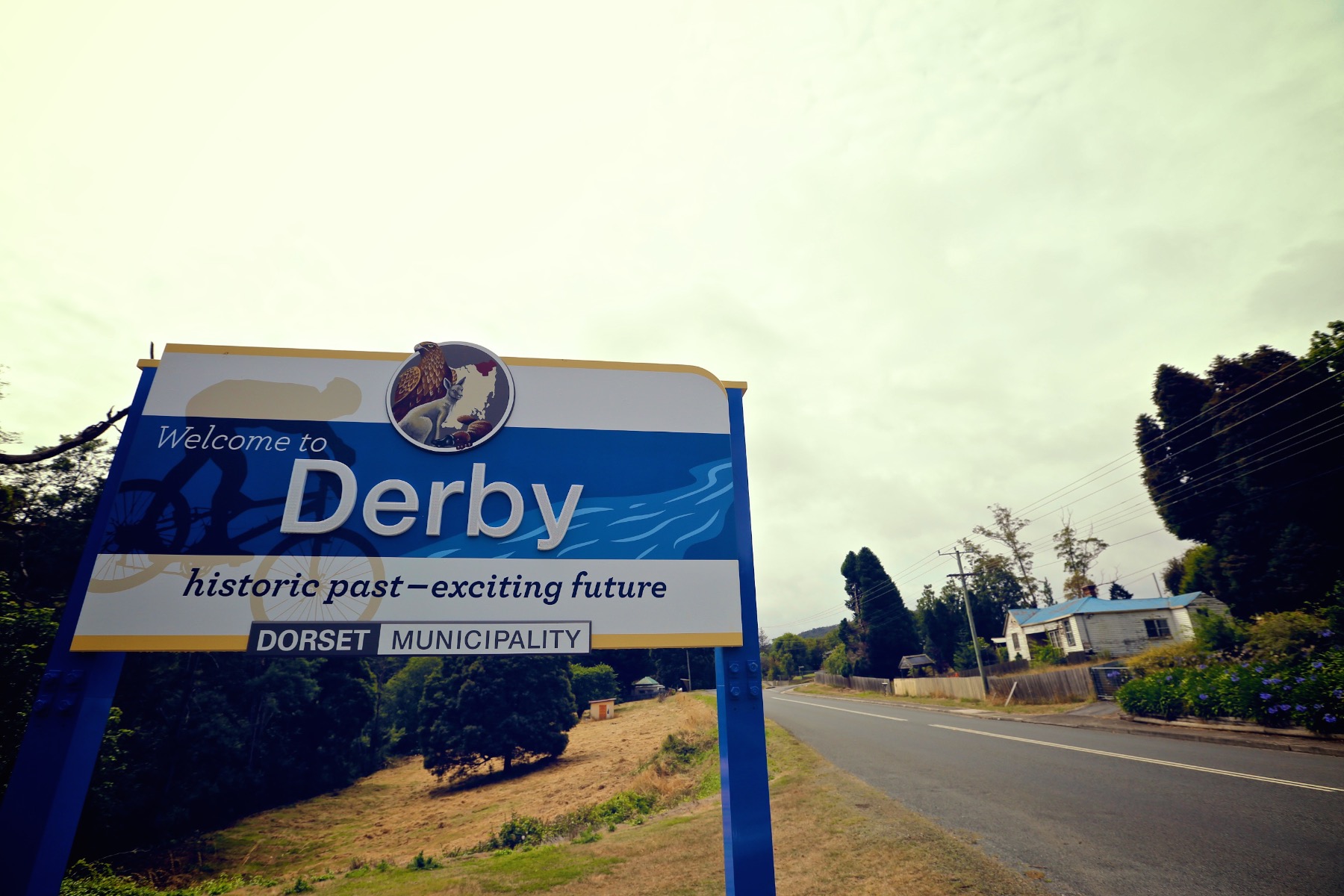 New Blue Derby Website with Trail Cam - A World First