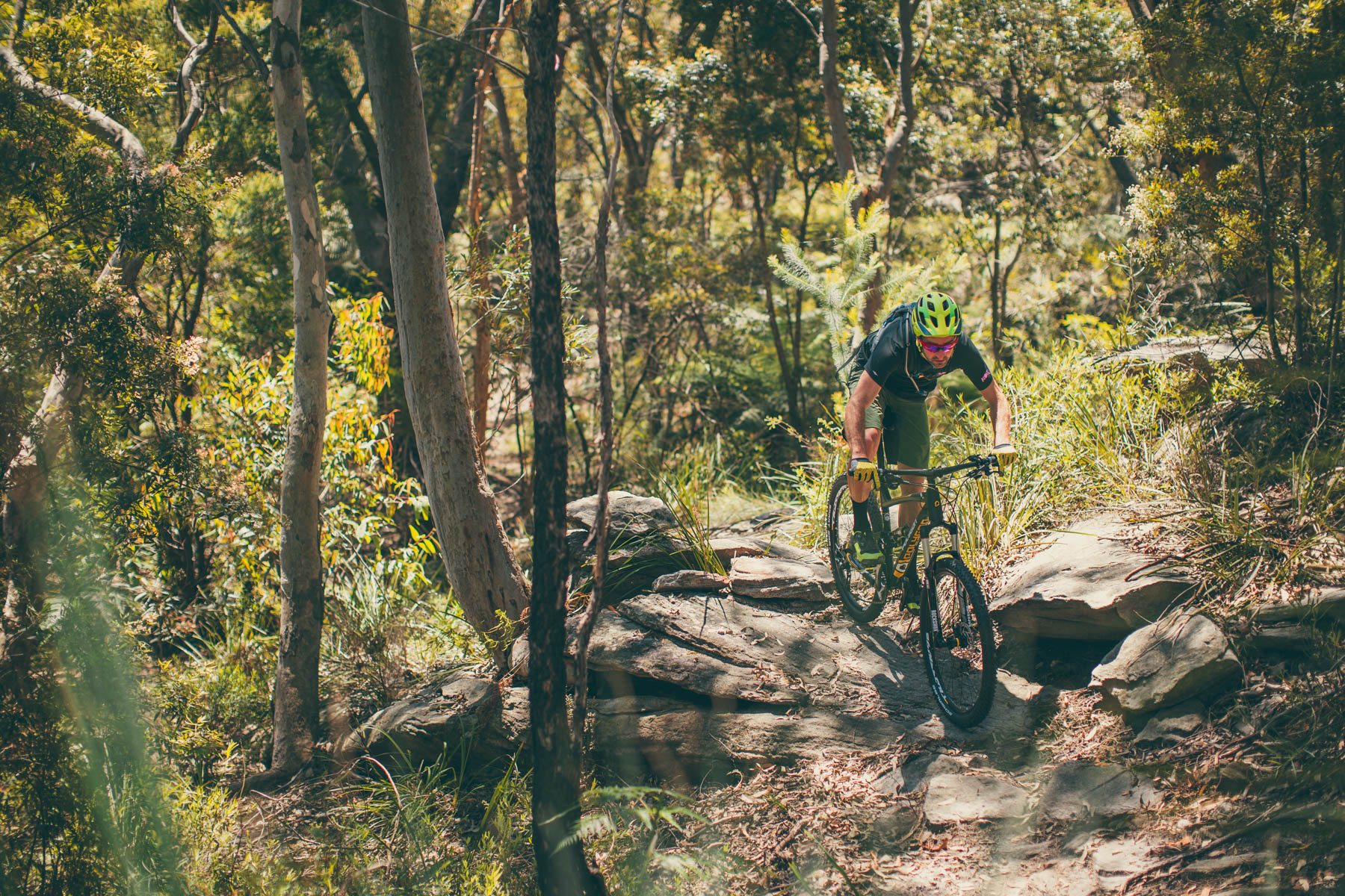 Tested: Polygon Siskiu D8