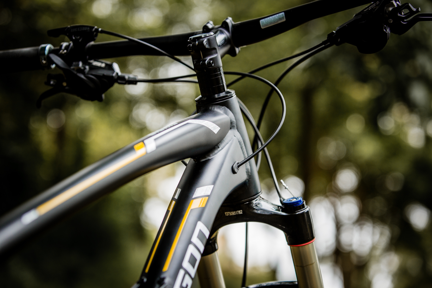 Flow's First Bite: Polygon Siskiu D8