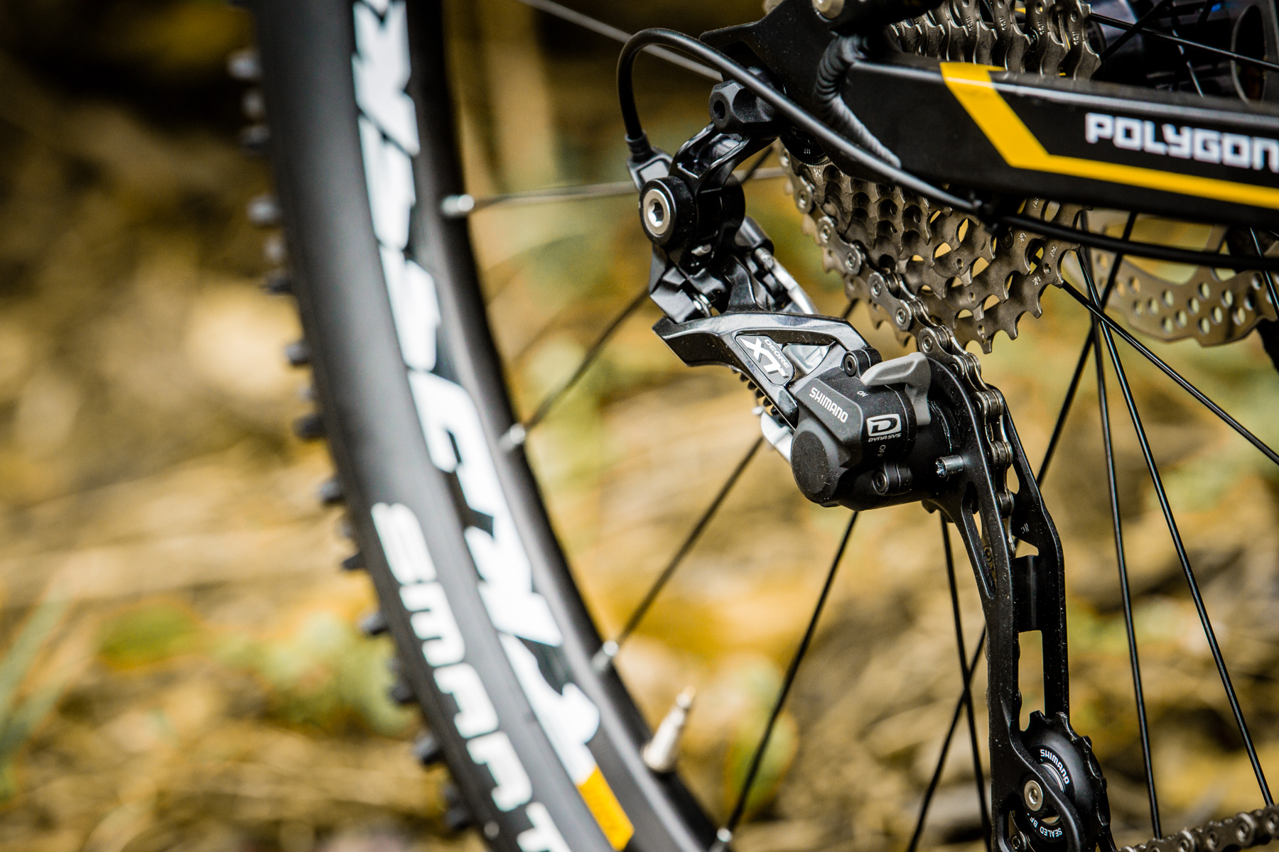 Flow's First Bite: Polygon Siskiu D8