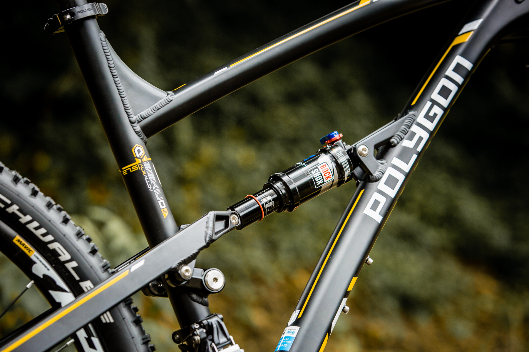 Flow's First Bite: Polygon Siskiu D8