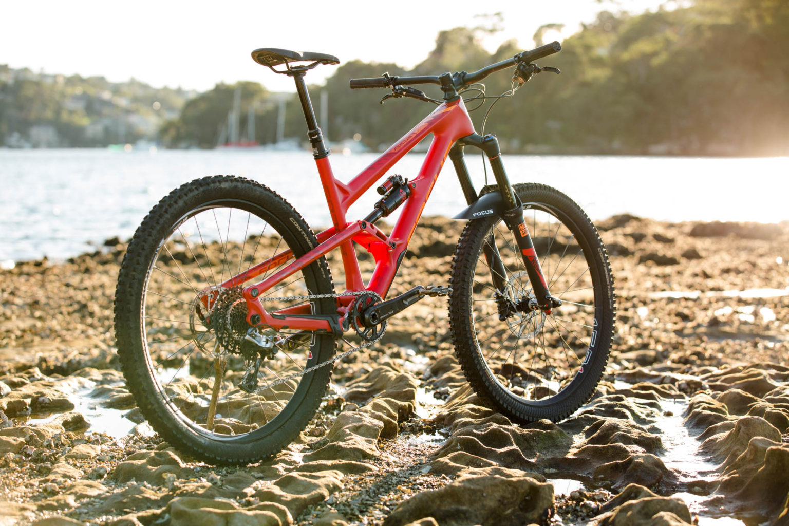 TESTED: Focus SAM C Team
