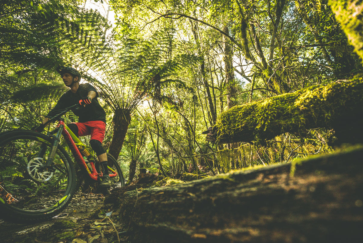 Blue Derby's New Trails: Return to Sender & Flickety Sticks Upper