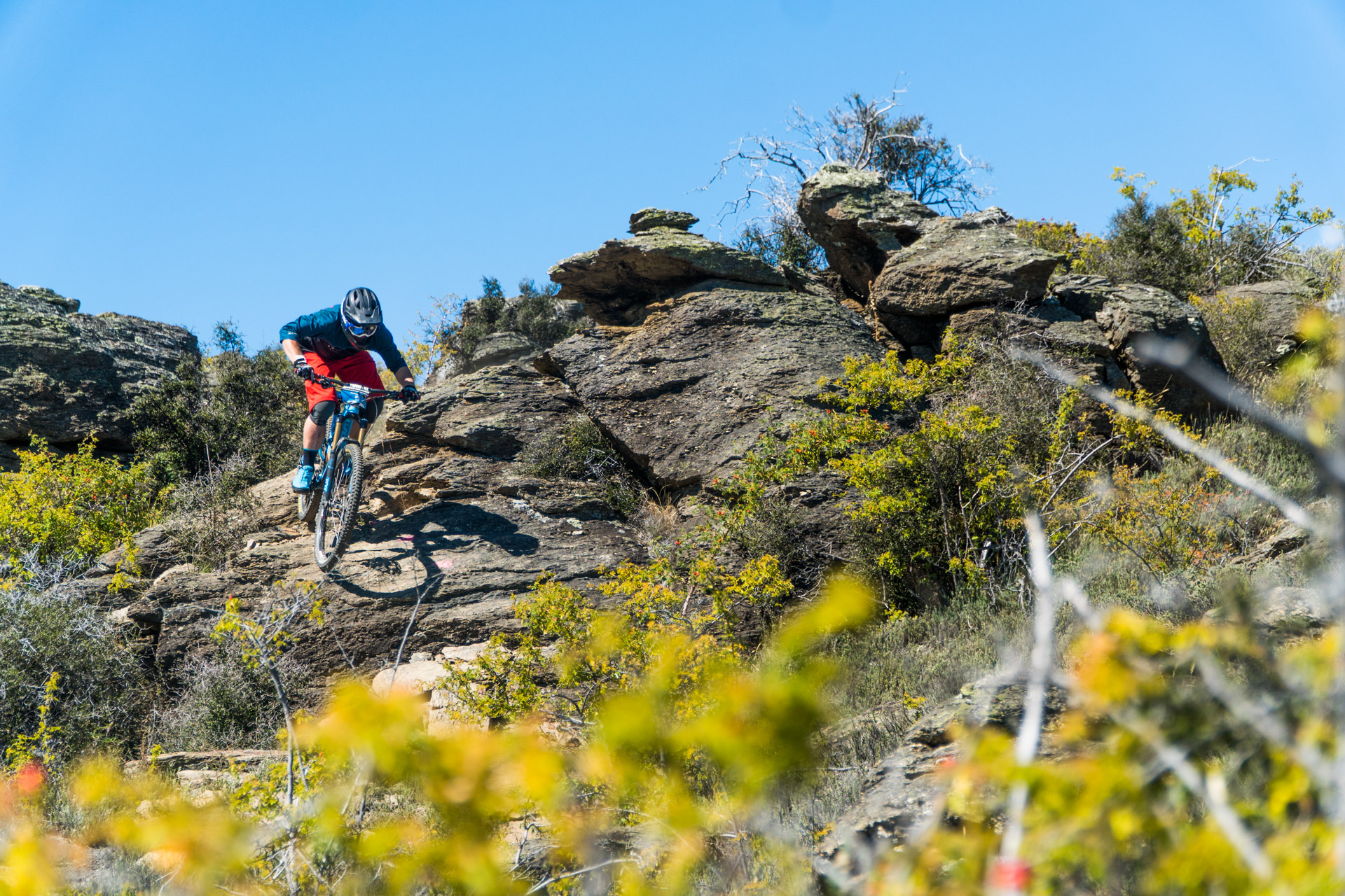 Video: Racing the Trans NZ with Team Shimano Australia