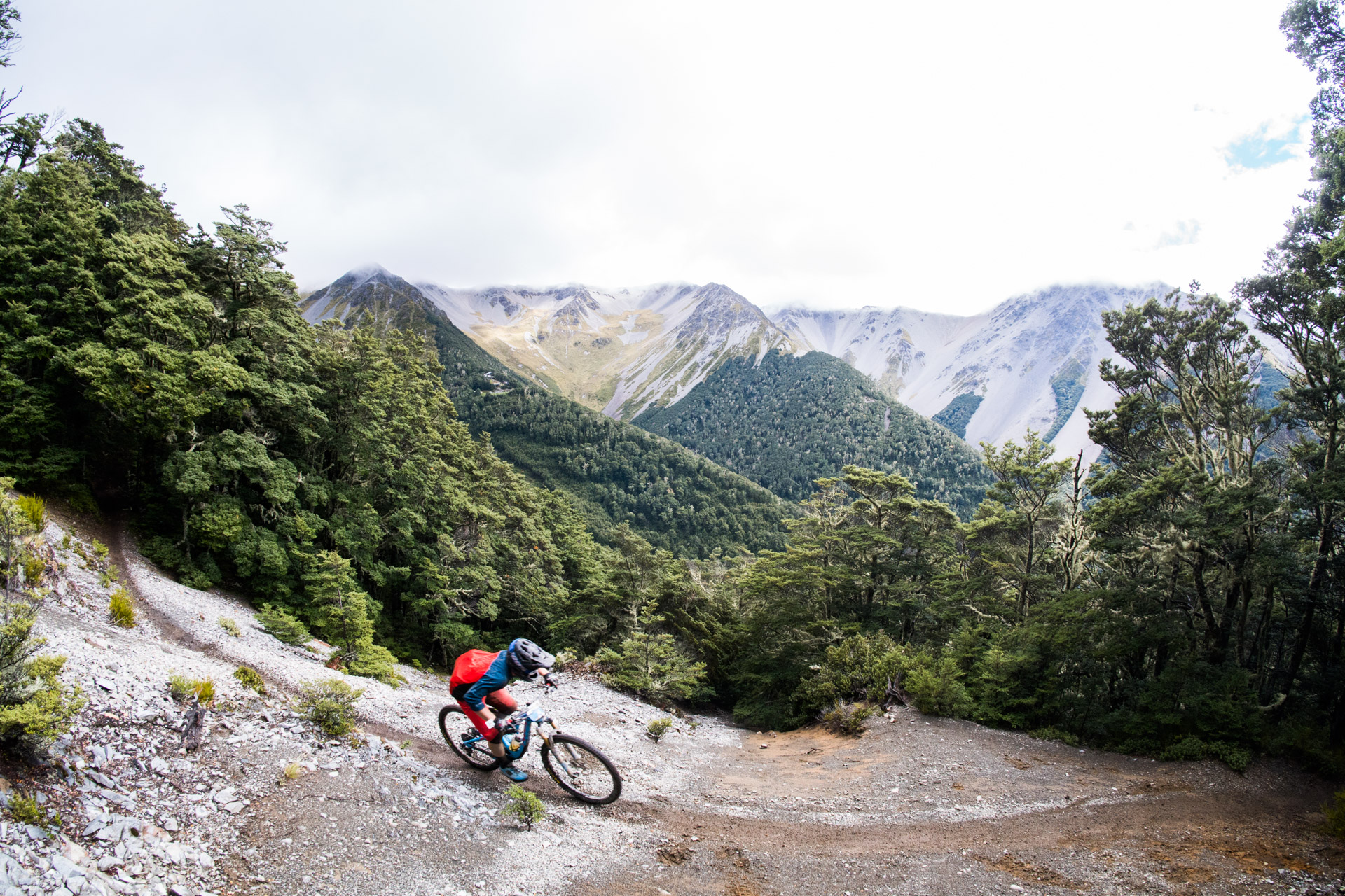 Video: Racing the Trans NZ with Team Shimano Australia