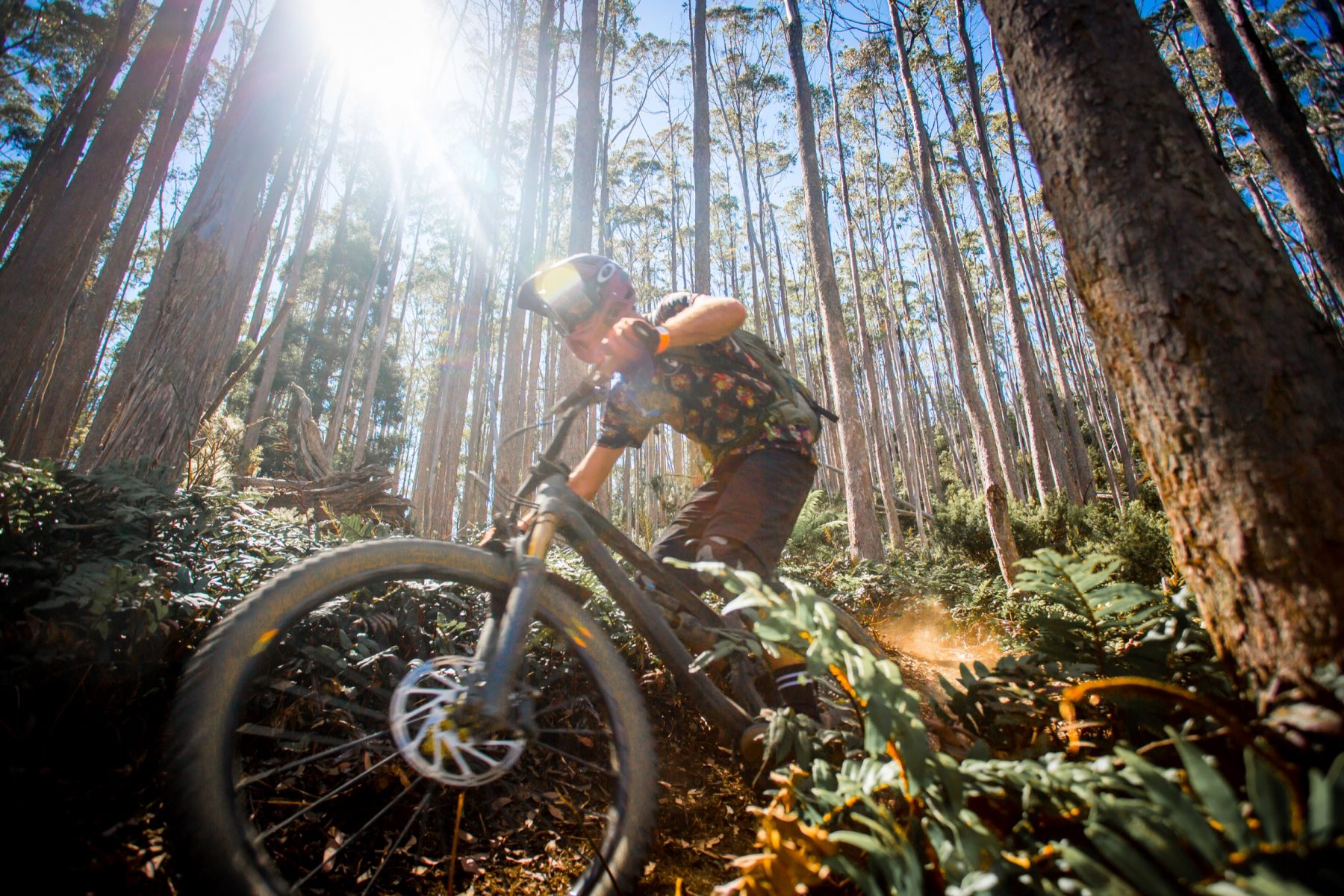 Canyon Torque - We Review the 175mm Travel Monster Bike