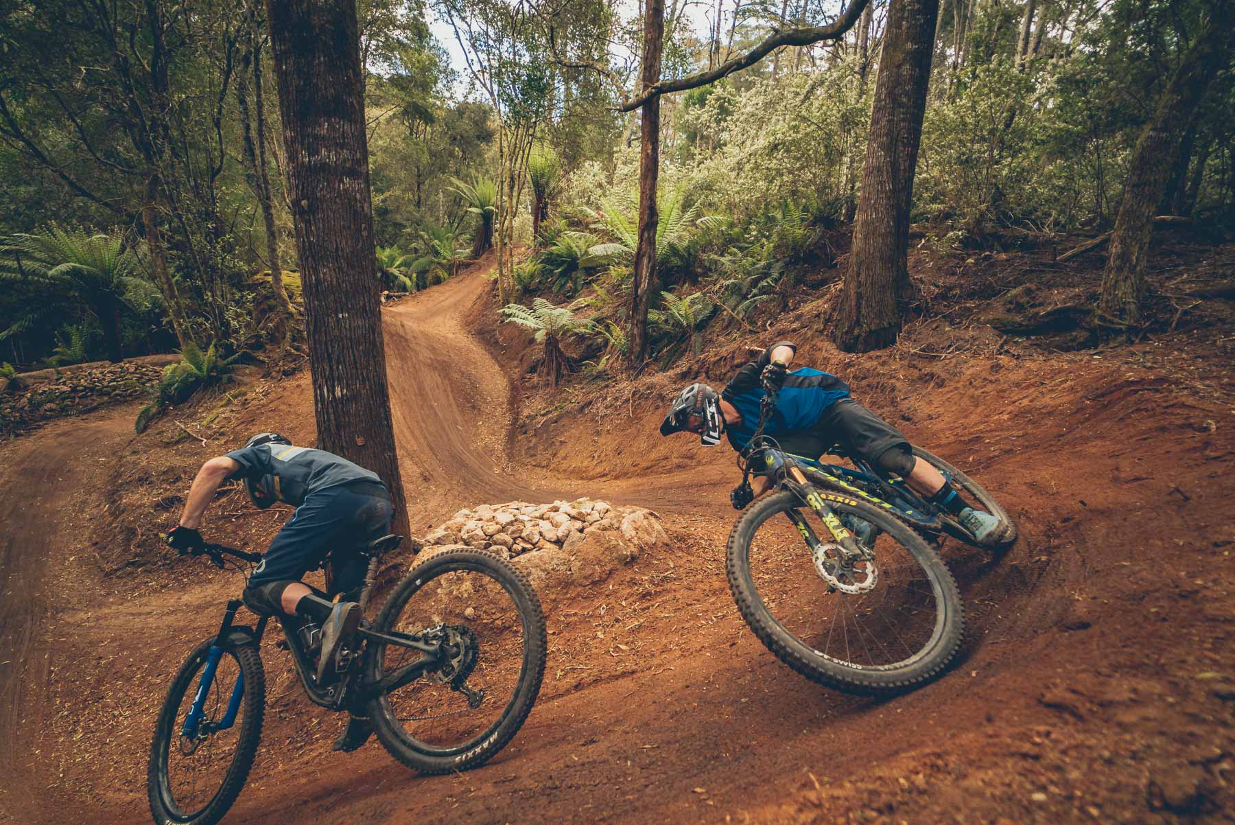 Complete Guide to Blue Derby, Tasmania | Flow Mountain Bike