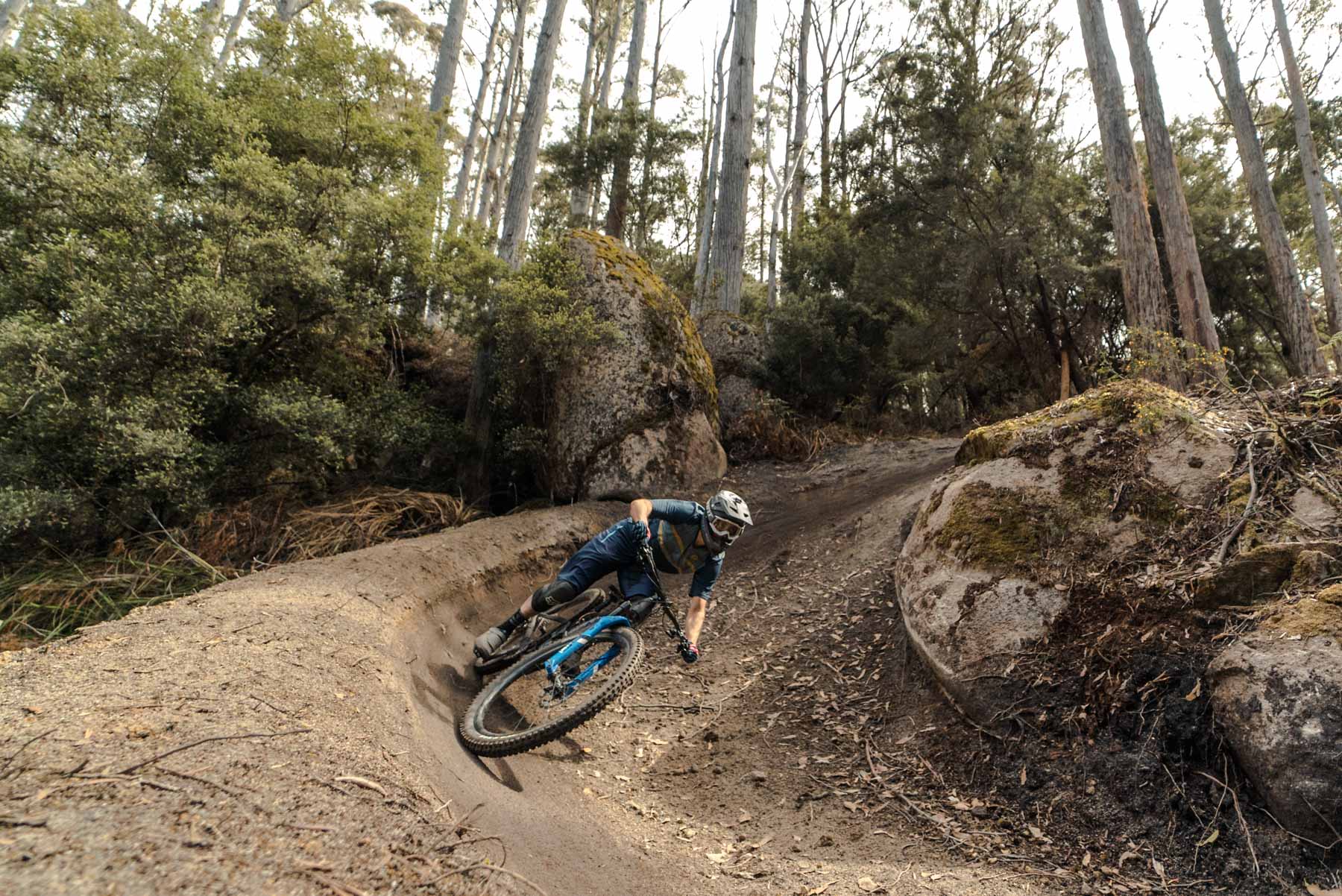 Complete Guide to Blue Derby, Tasmania | Flow Mountain Bike