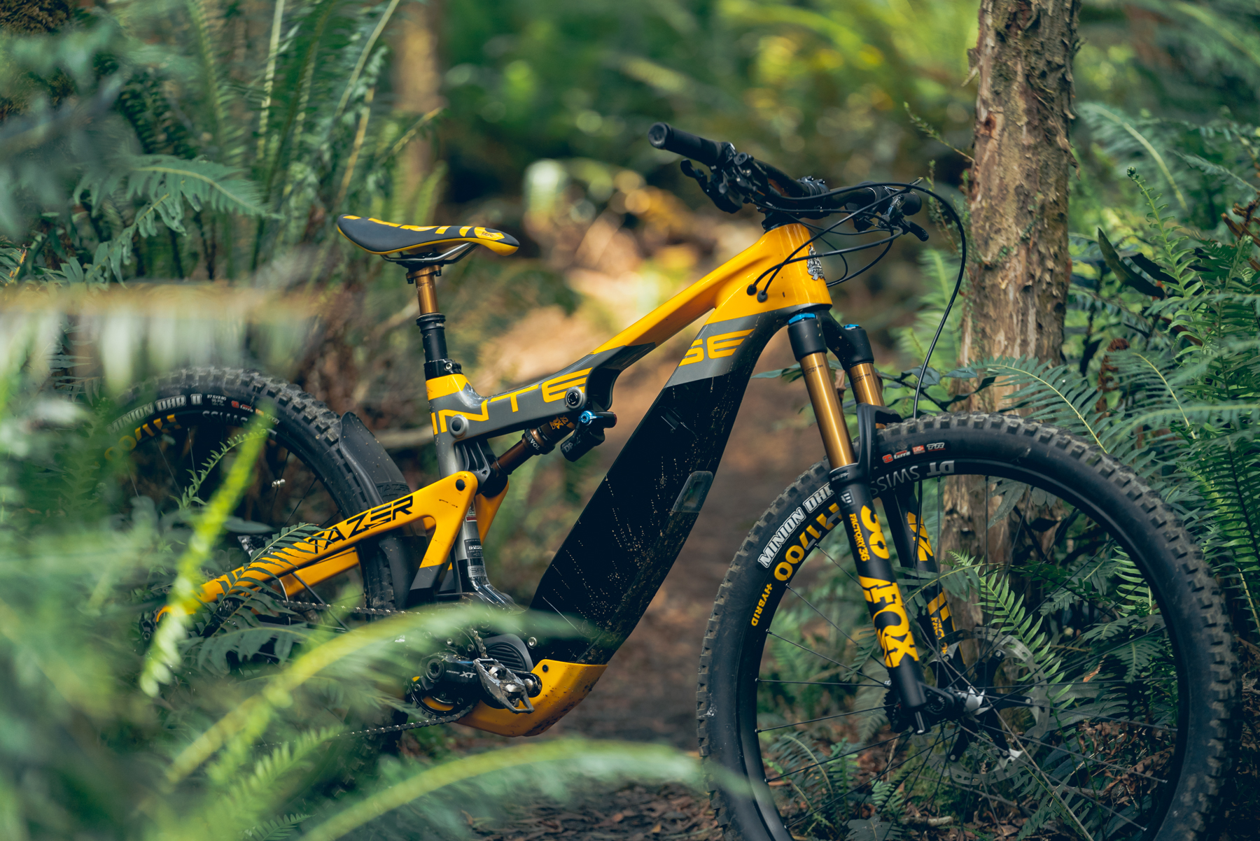 Intense Tazer - First Impressions