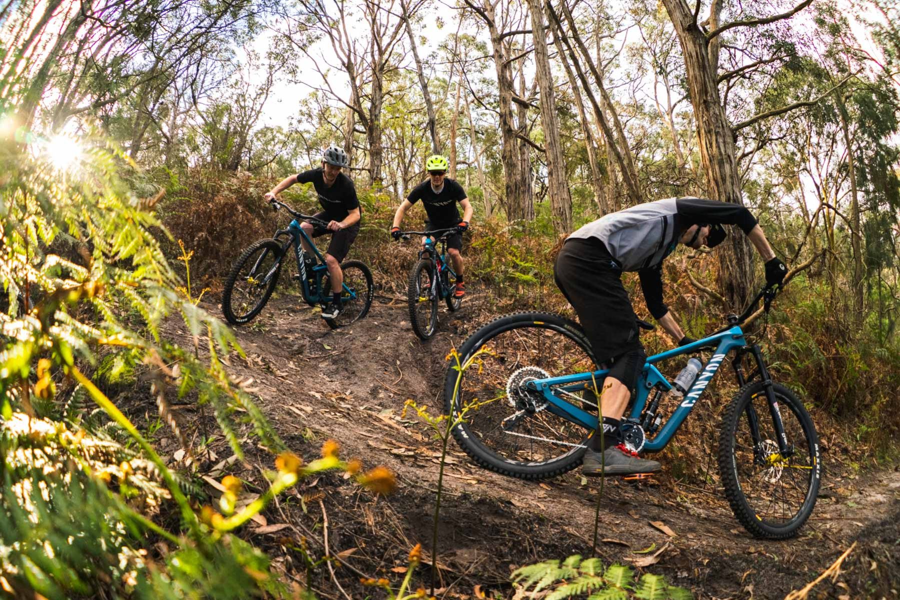 Canyon Mountain Bike Reviews - Flow Mountain Bike