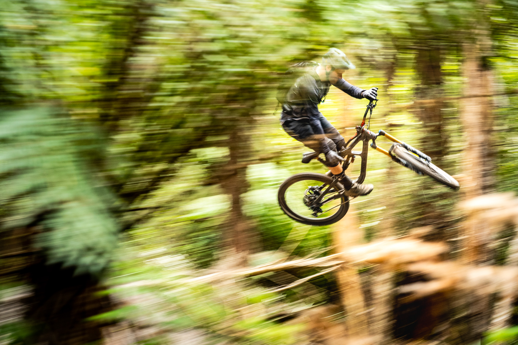Complete Guide to Blue Derby, Tasmania | Flow Mountain Bike
