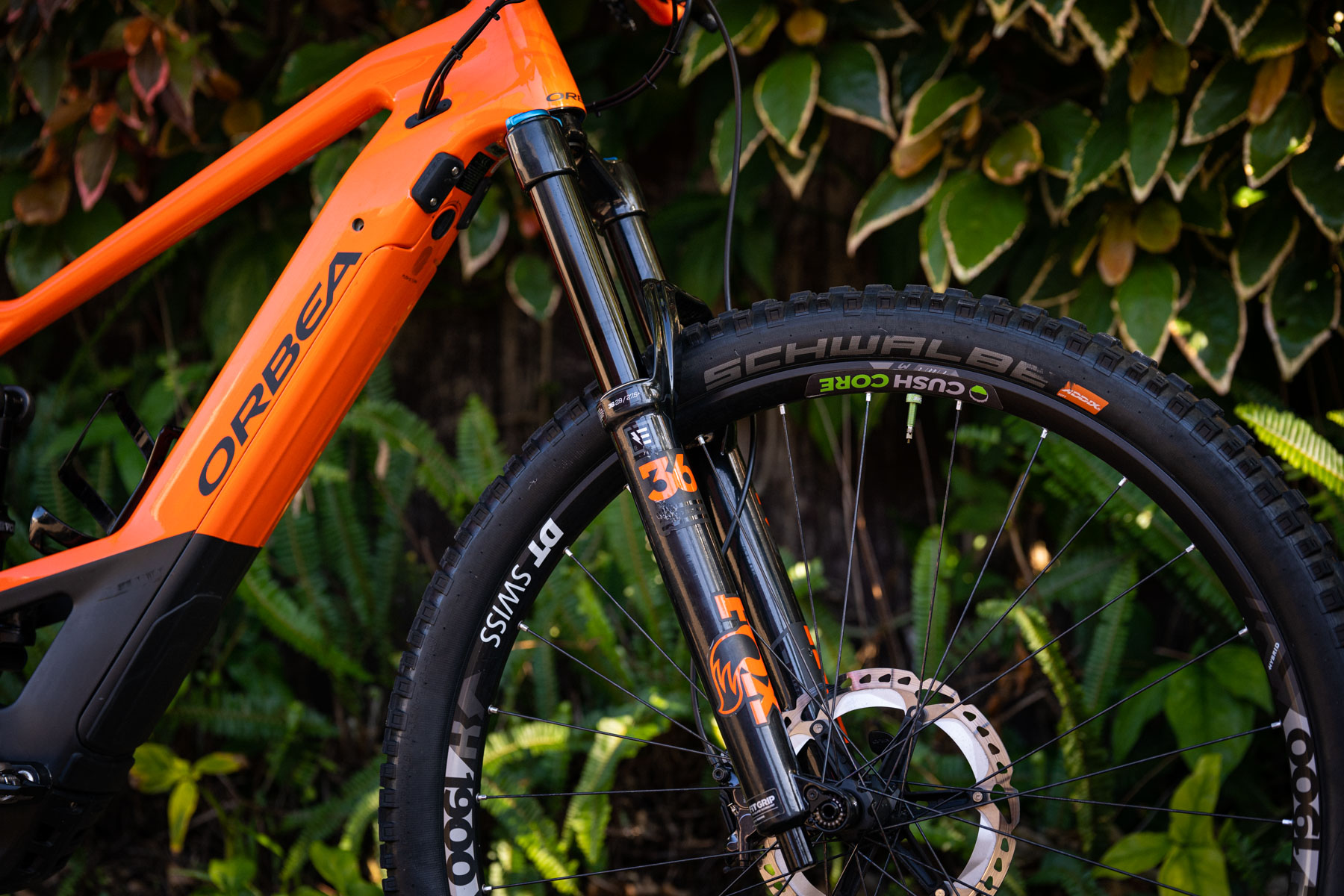 REVIEW | Riding the Orbea Wild FS - A Bold and Brawny Tech Boss