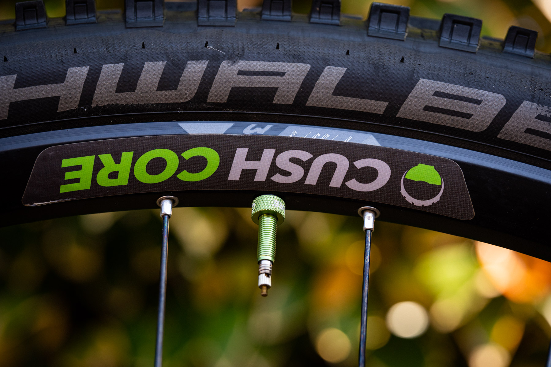 REVIEW | Riding the Orbea Wild FS - A Bold and Brawny Tech Boss