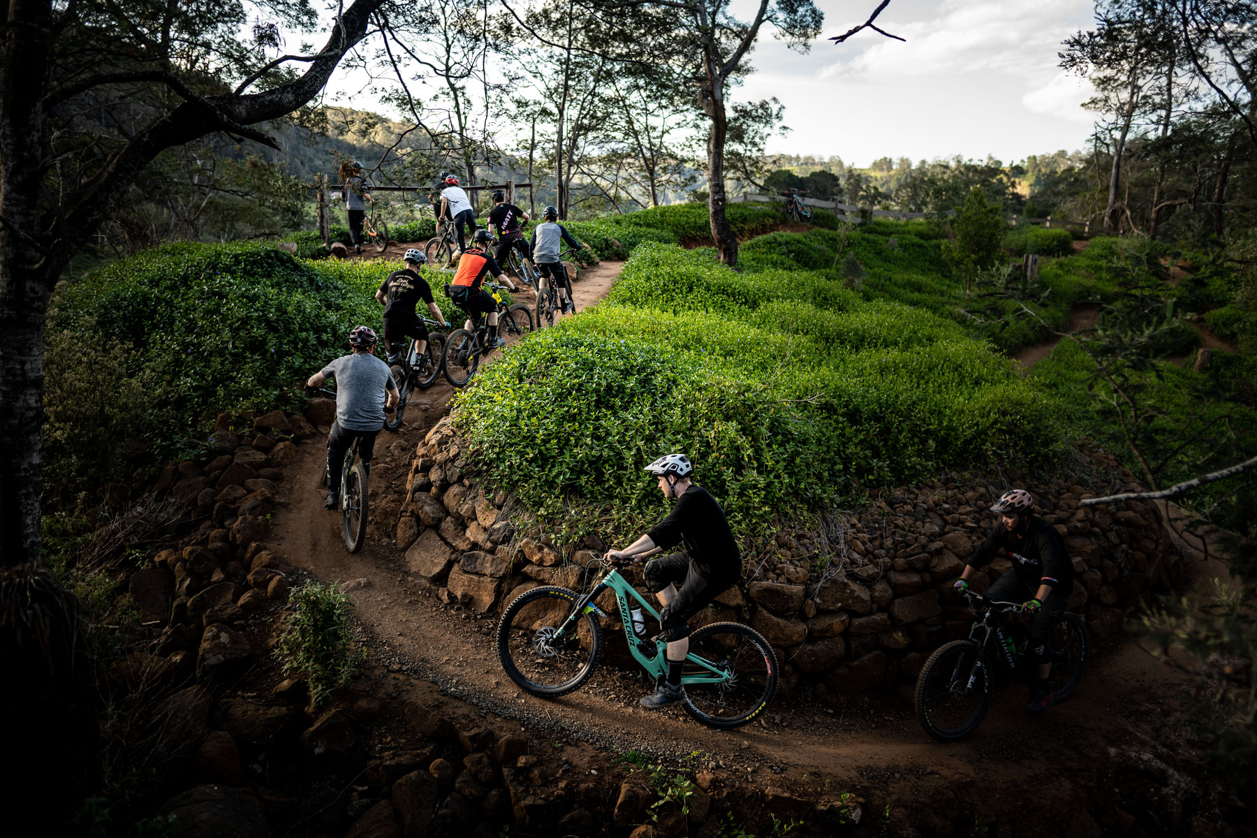 Complete Guide to Blue Derby, Tasmania | Flow Mountain Bike