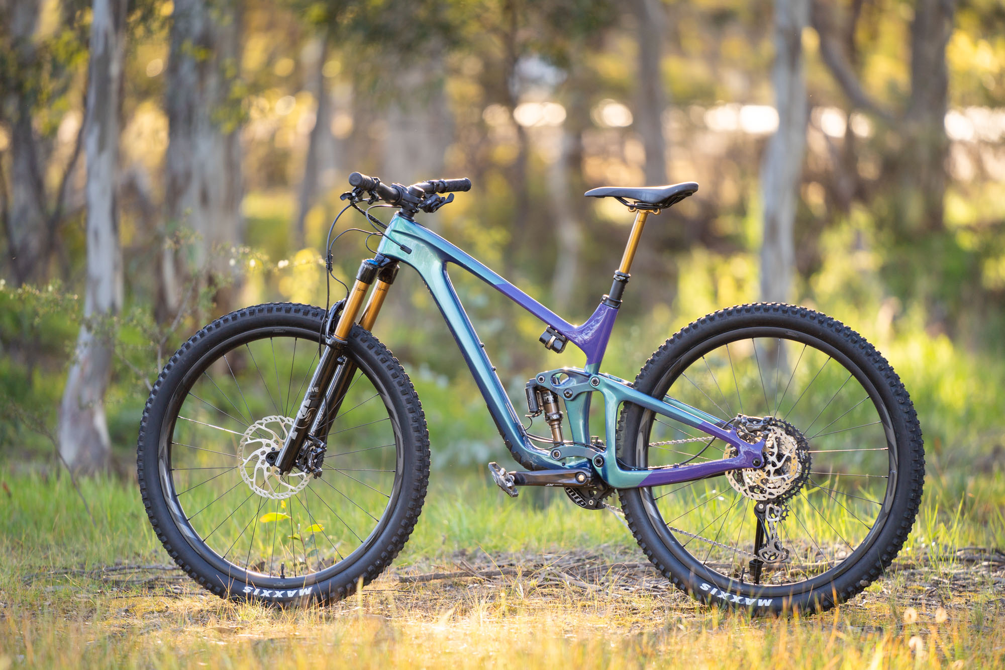 Giant Trance X Review | The Advanced Pro 29 gets brains AND brawn