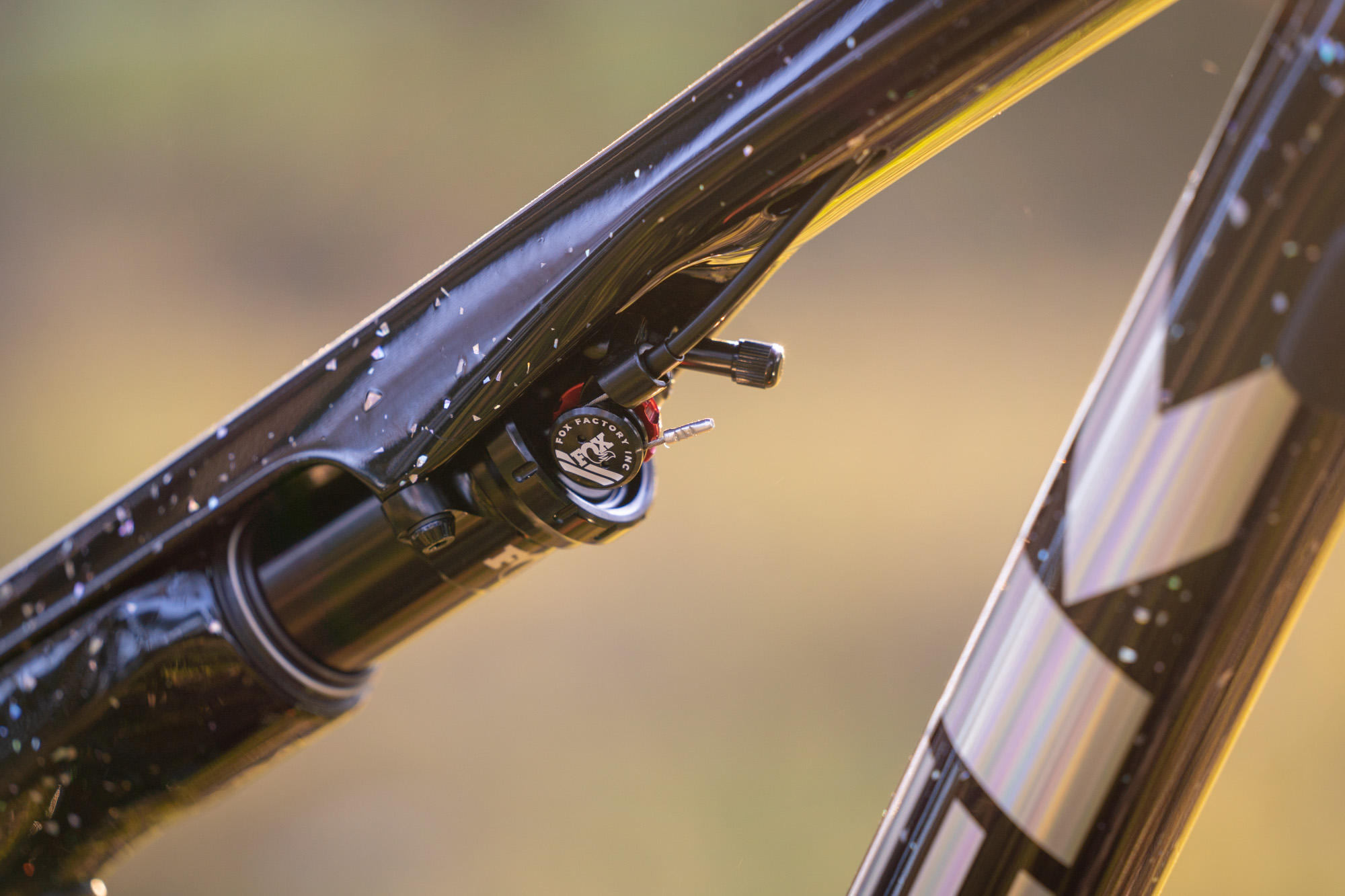 On Test | A very special 2021 Trek Supercaliber 9.9 - Project One style