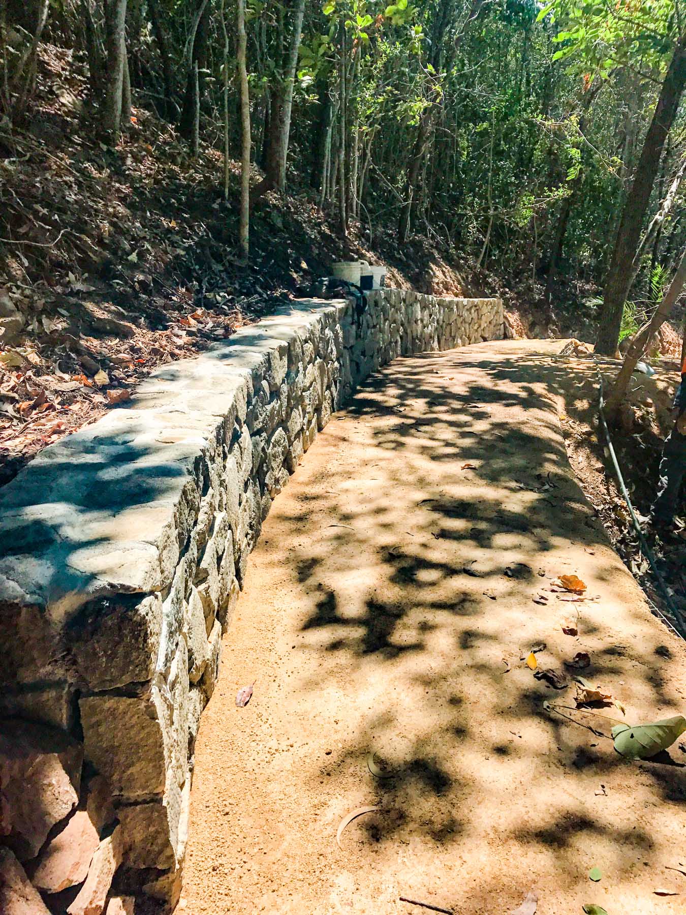 What's Up With The Wangetti Trail - Palm Cove to Port Douglas, QLD