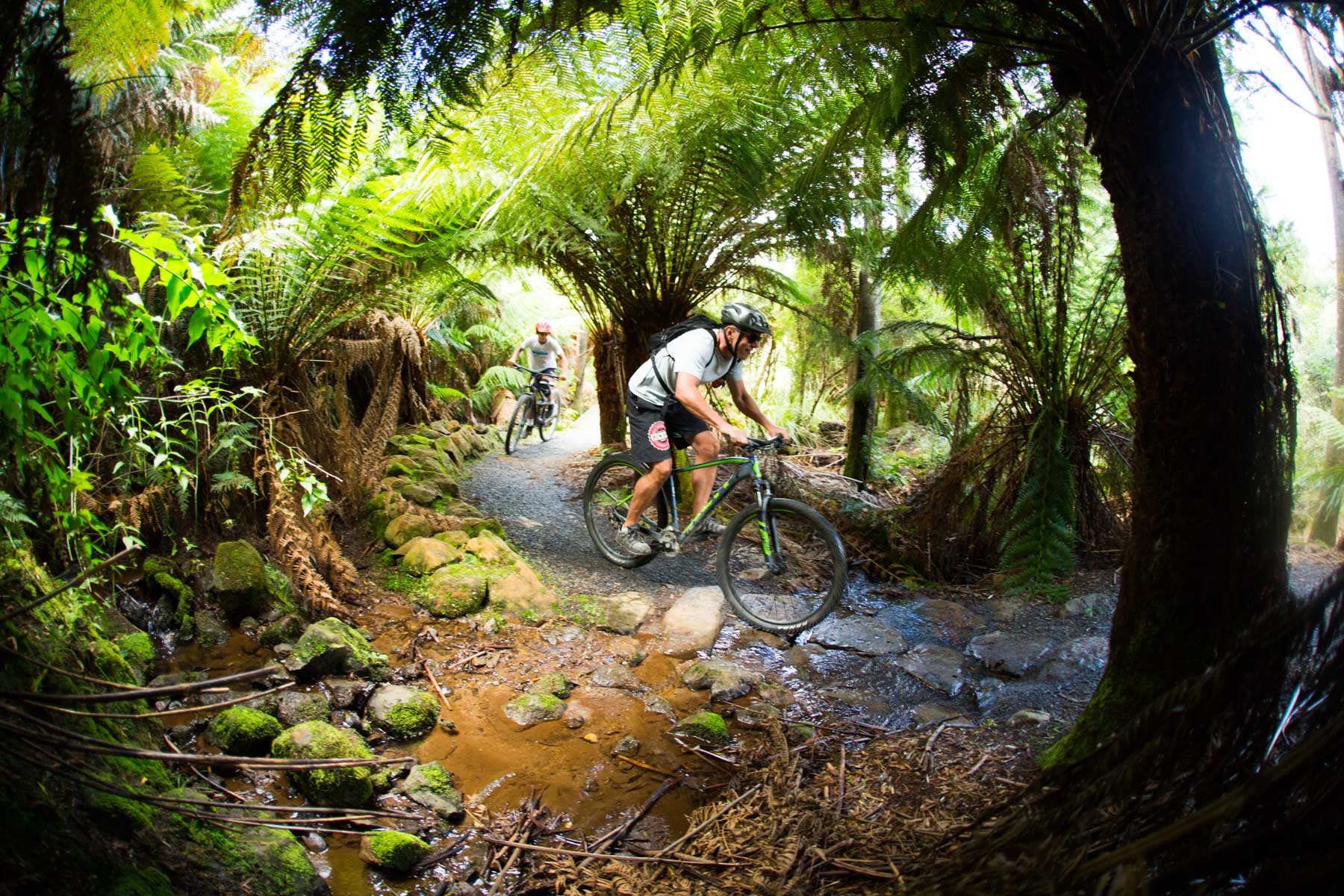 Complete Guide to Blue Derby, Tasmania | Flow Mountain Bike