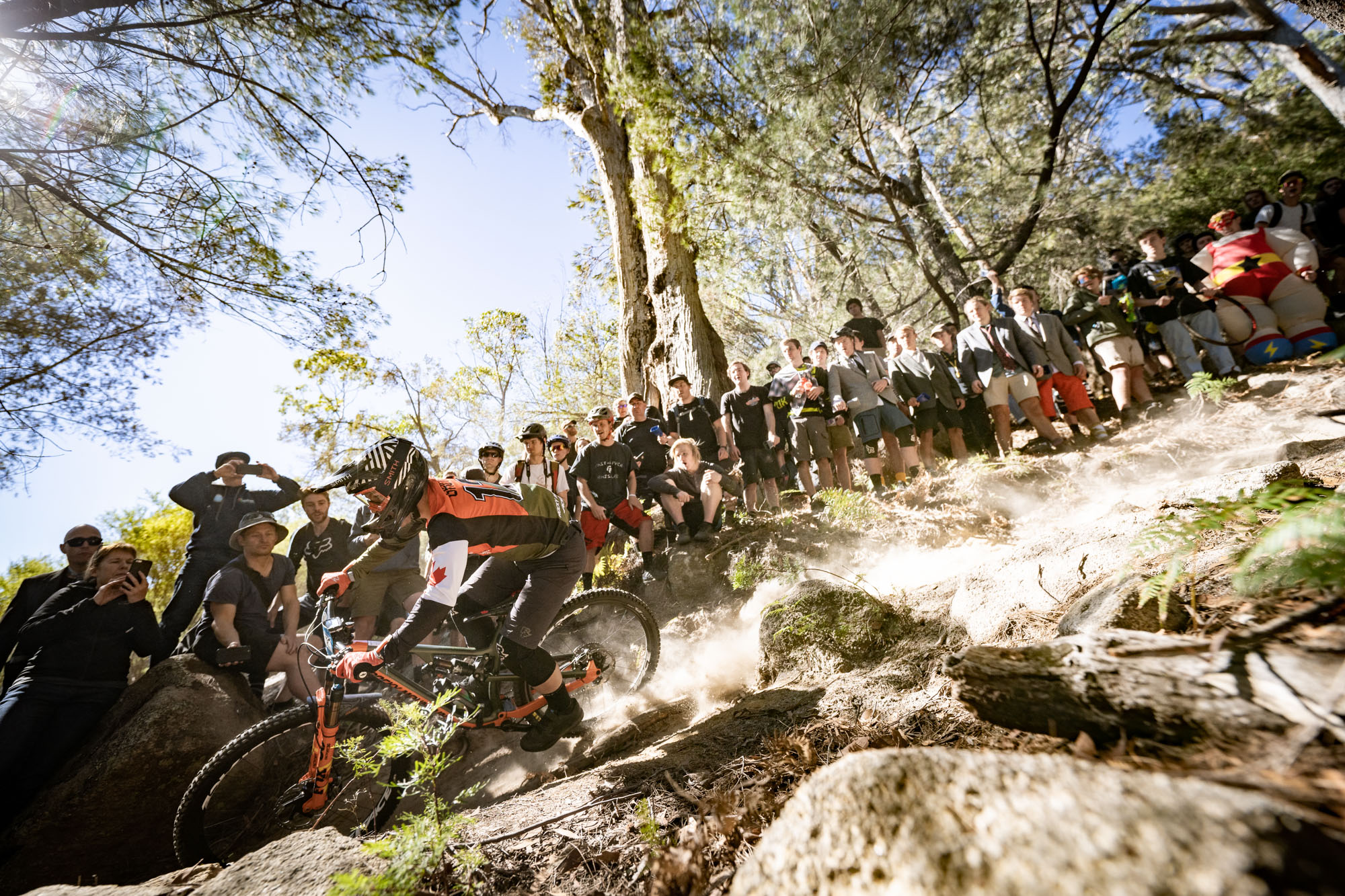 Complete Guide to Blue Derby, Tasmania | Flow Mountain Bike