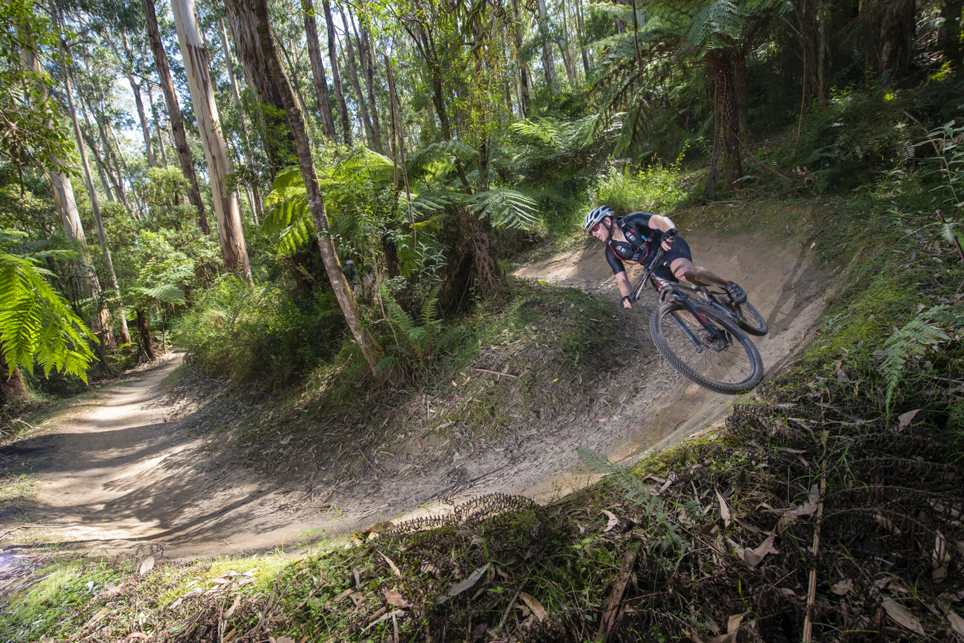 Forrest gets a facelift, upgrades and new trails for the Otways | Flow ...