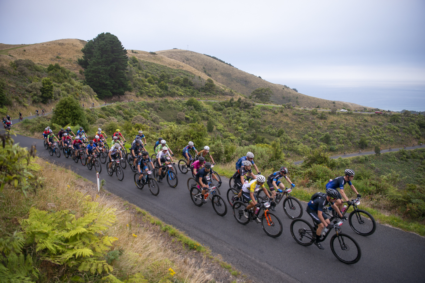 Forrest gets a facelift, upgrades and new trails for the Otways | Flow ...