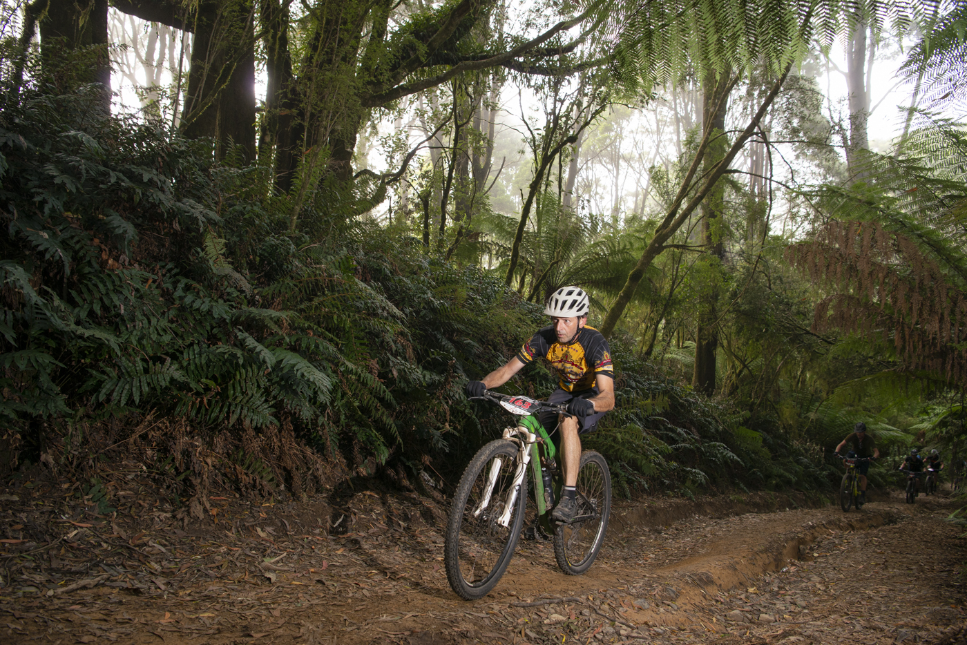 Forrest gets a facelift, upgrades and new trails for the Otways | Flow ...