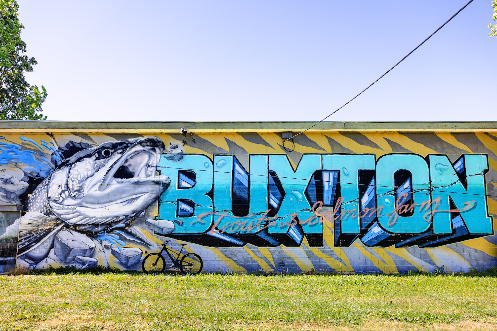 Your complete guide to Buxton Mountain Bike Park | Flow MTB