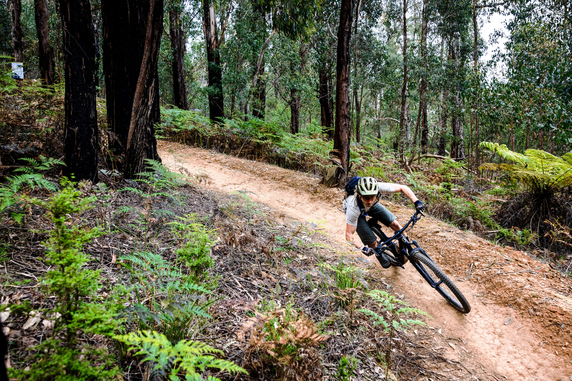 Your complete guide to Buxton Mountain Bike Park | Flow MTB