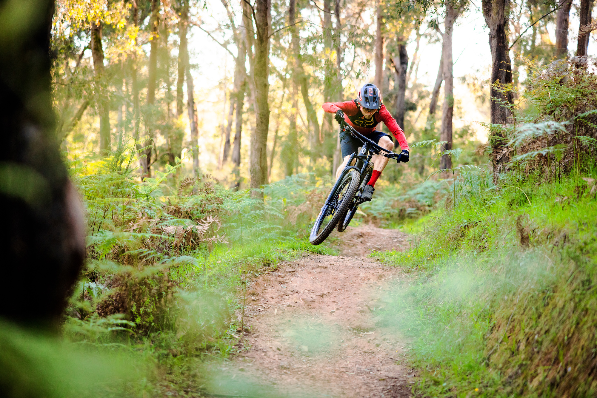 Your complete guide to Buxton Mountain Bike Park | Flow MTB