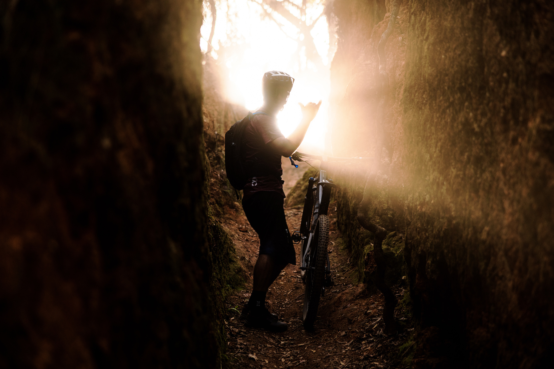 2022 Giant Trance 29 Review | A muscly little trail hustler that's ...