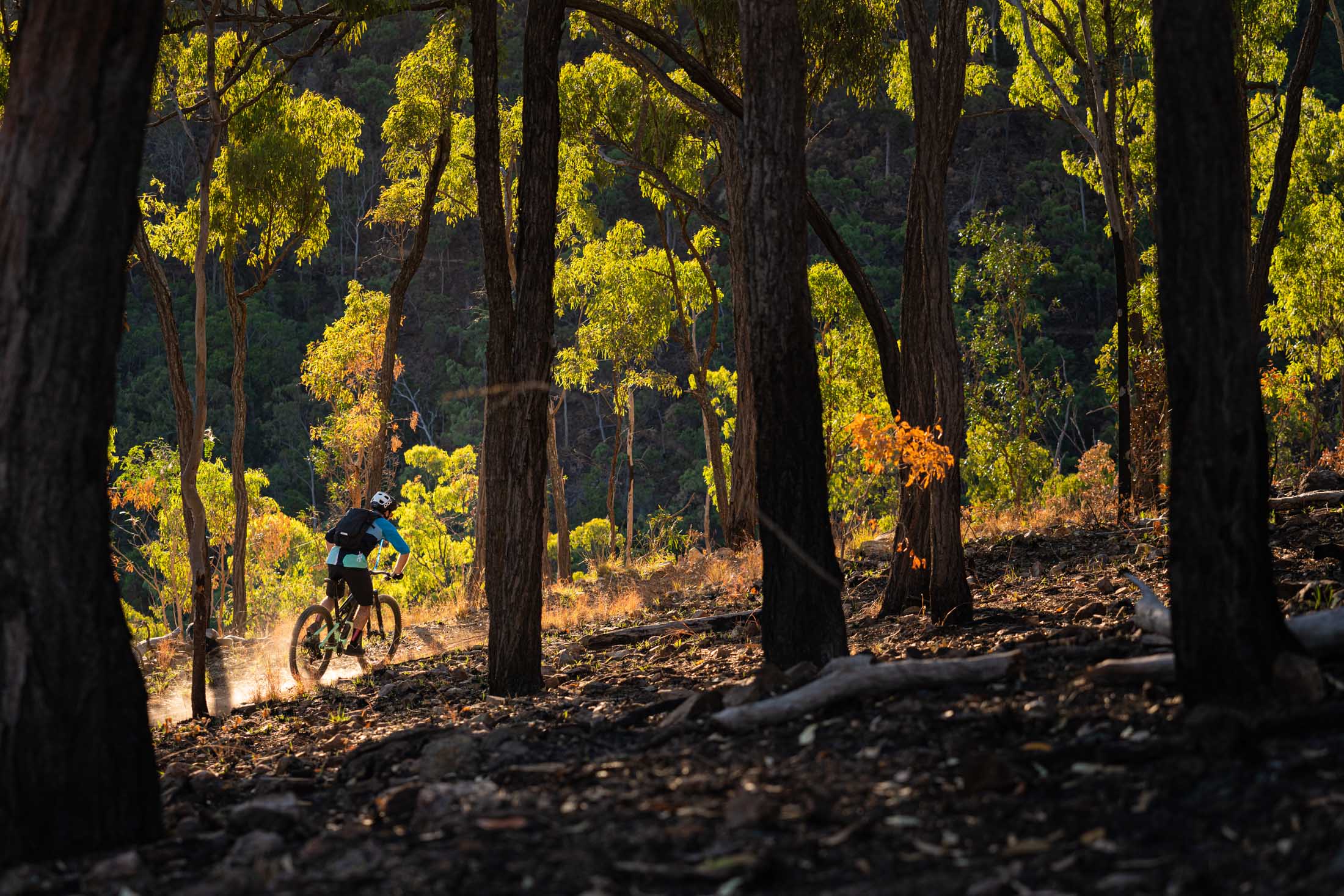 Australian Mountain Bike Destination Guide | Flow Mountain Bike