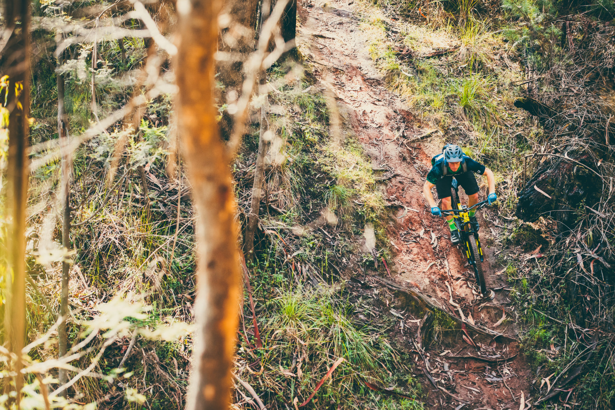 Australian Mountain Bike Destination Guide | Flow Mountain Bike