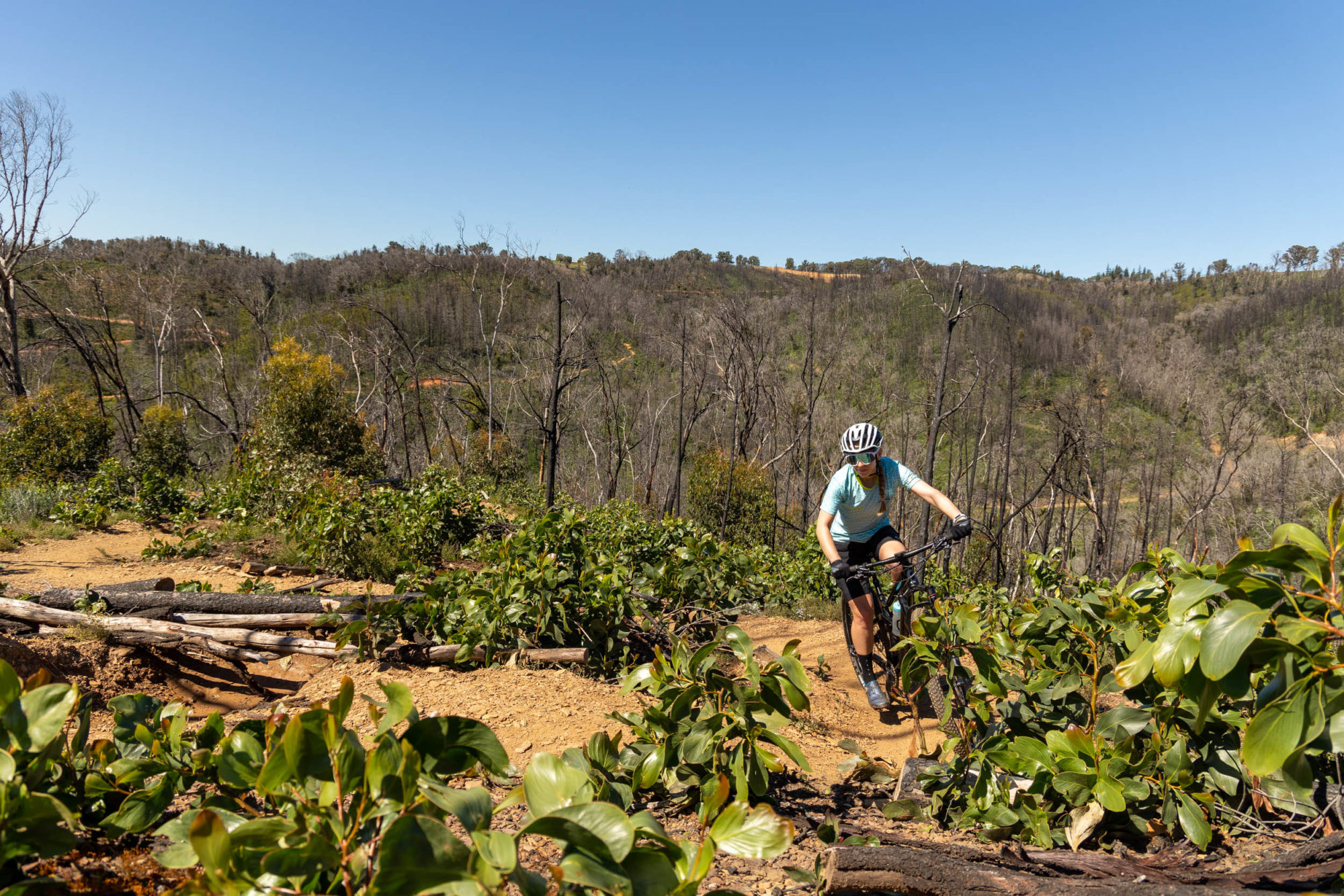 Fox Creek 2.0 | Rebuilding one of Adelaide most iconic trail networks ...