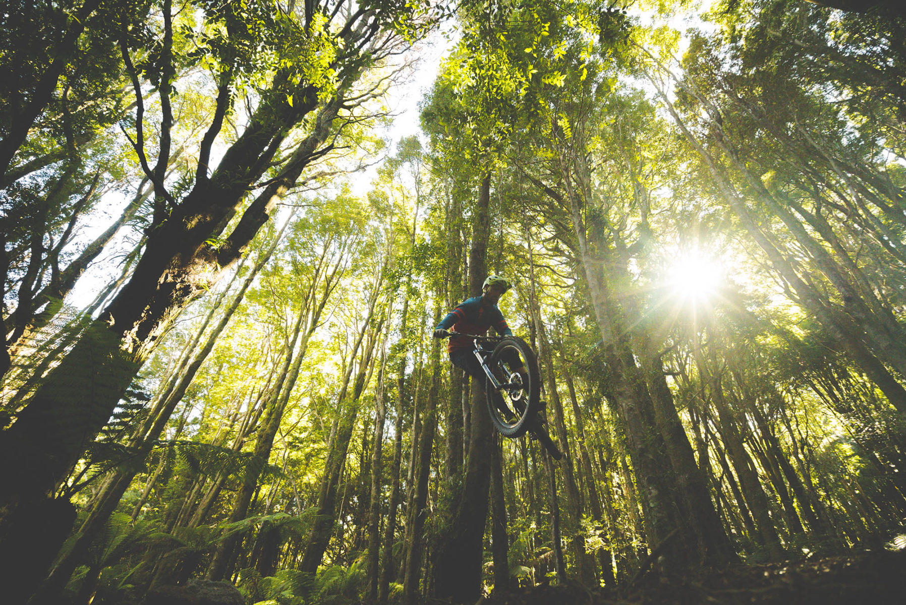 Derby Precinct Concept Plan released | Blue Derby trail network to be ...