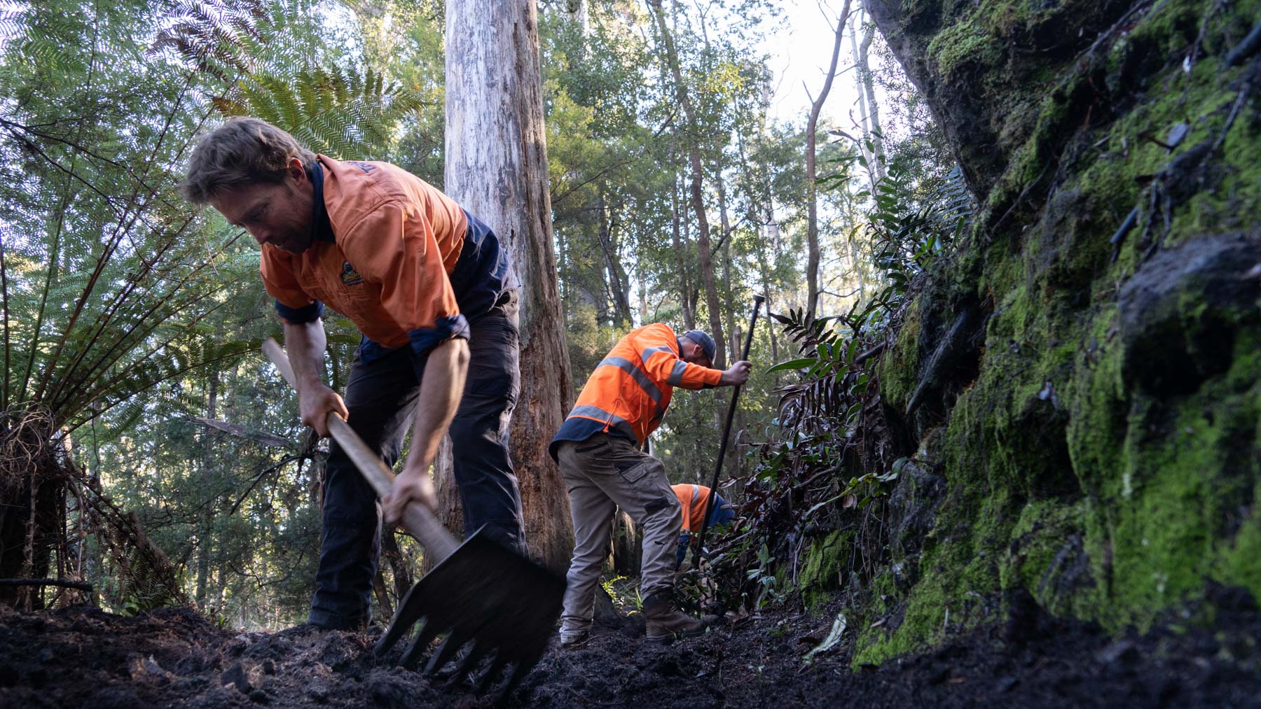 Derby Precinct Concept Plan released | Blue Derby trail network to be ...