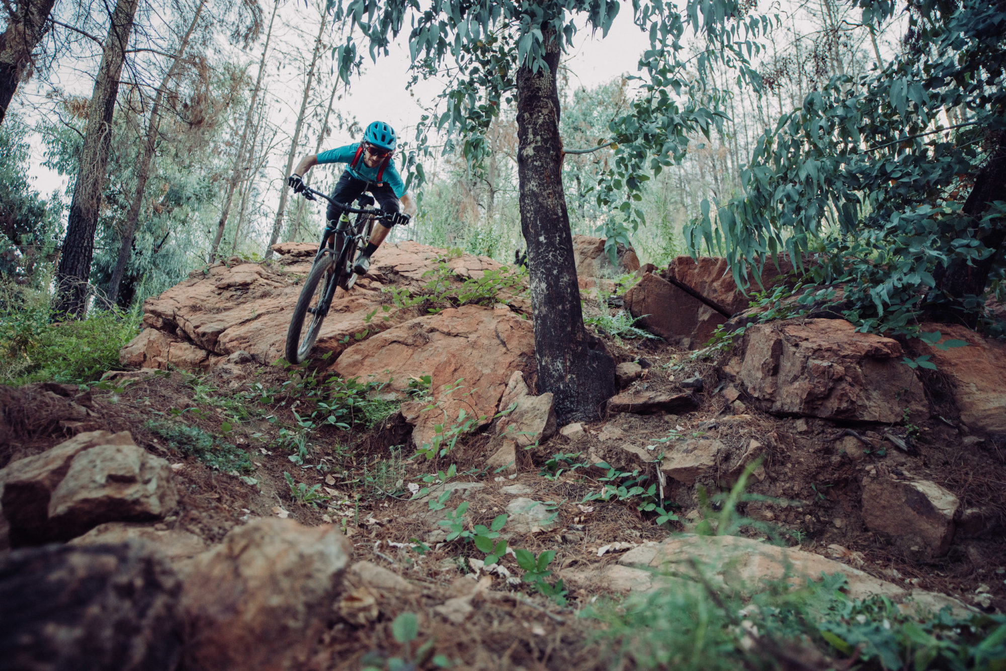 The Mount Canobolas Mountain Bike Project, Orange NSW | Flow Mountain Bike