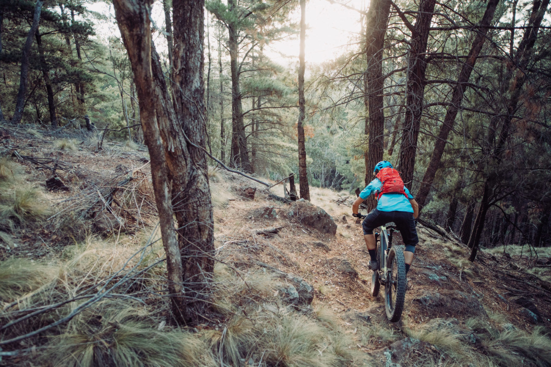 The Mount Canobolas Mountain Bike Project, Orange NSW | Flow Mountain Bike
