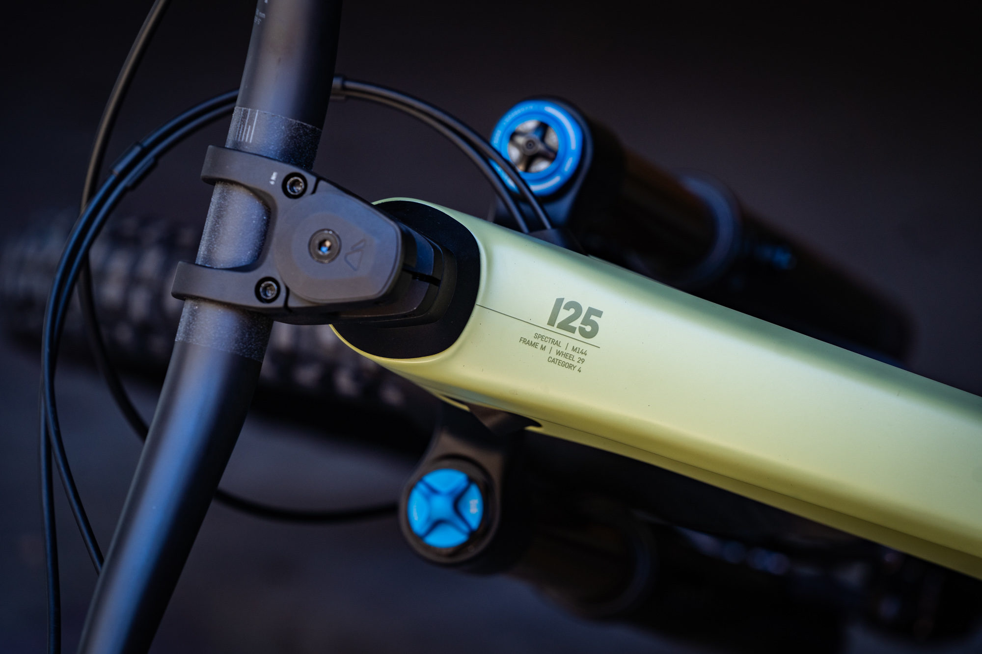 Canyon Spectral 125 Review | A short travel ripper that isn't for everyone