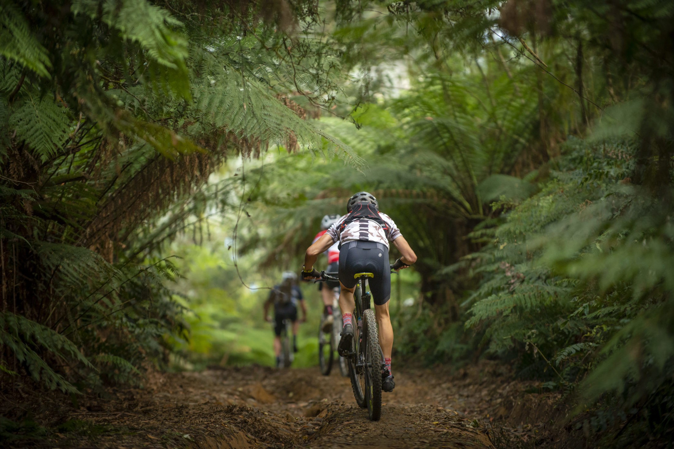 Red carpet, Barwon Flow and more | The latest on the Forrest, VIC ...