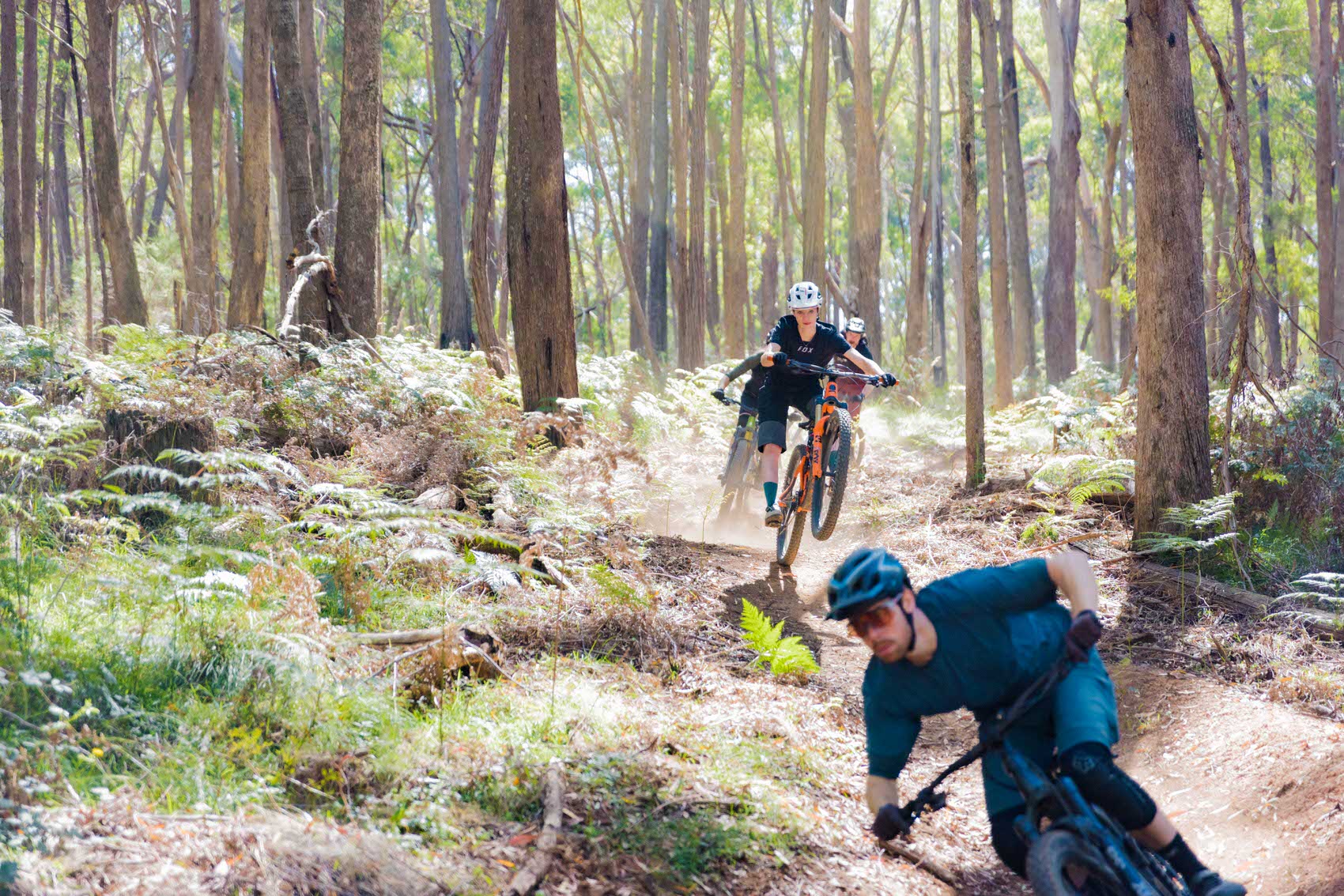 Best Mountain Bike Trails in Victoria | Flow Mountain Bike