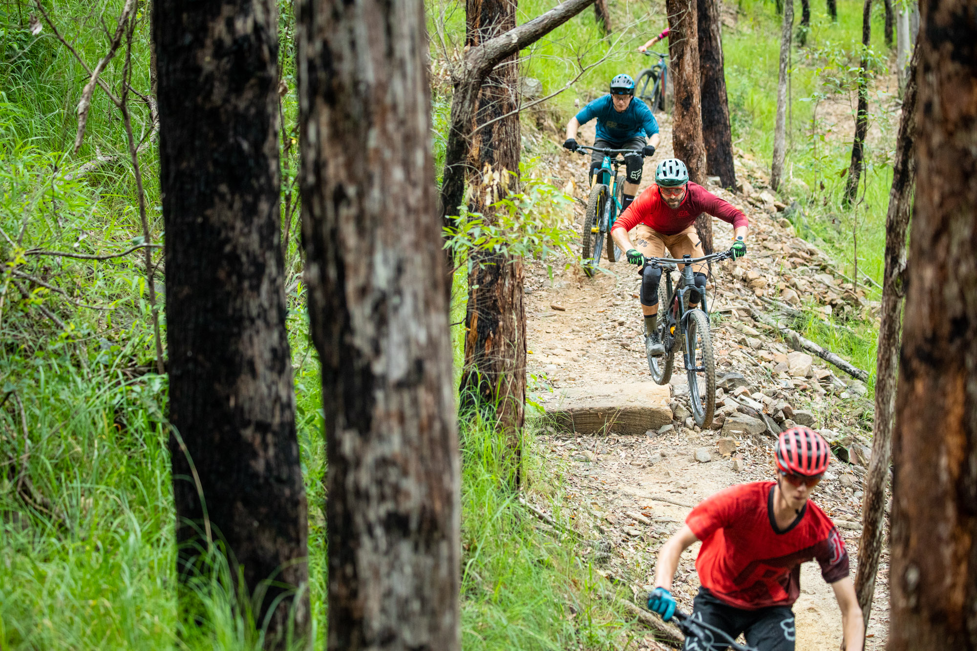 QPWS aiming reducing Nerang trail network by nearly half