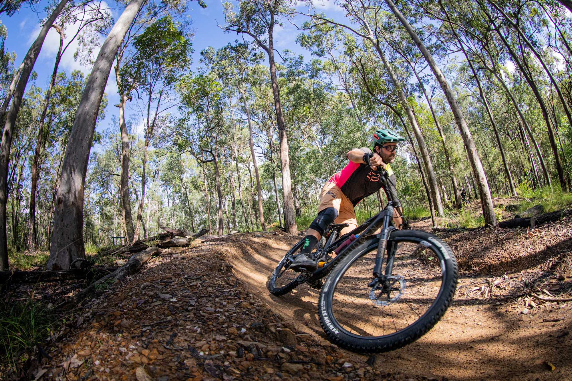 QPWS aiming reducing Nerang trail network by nearly half