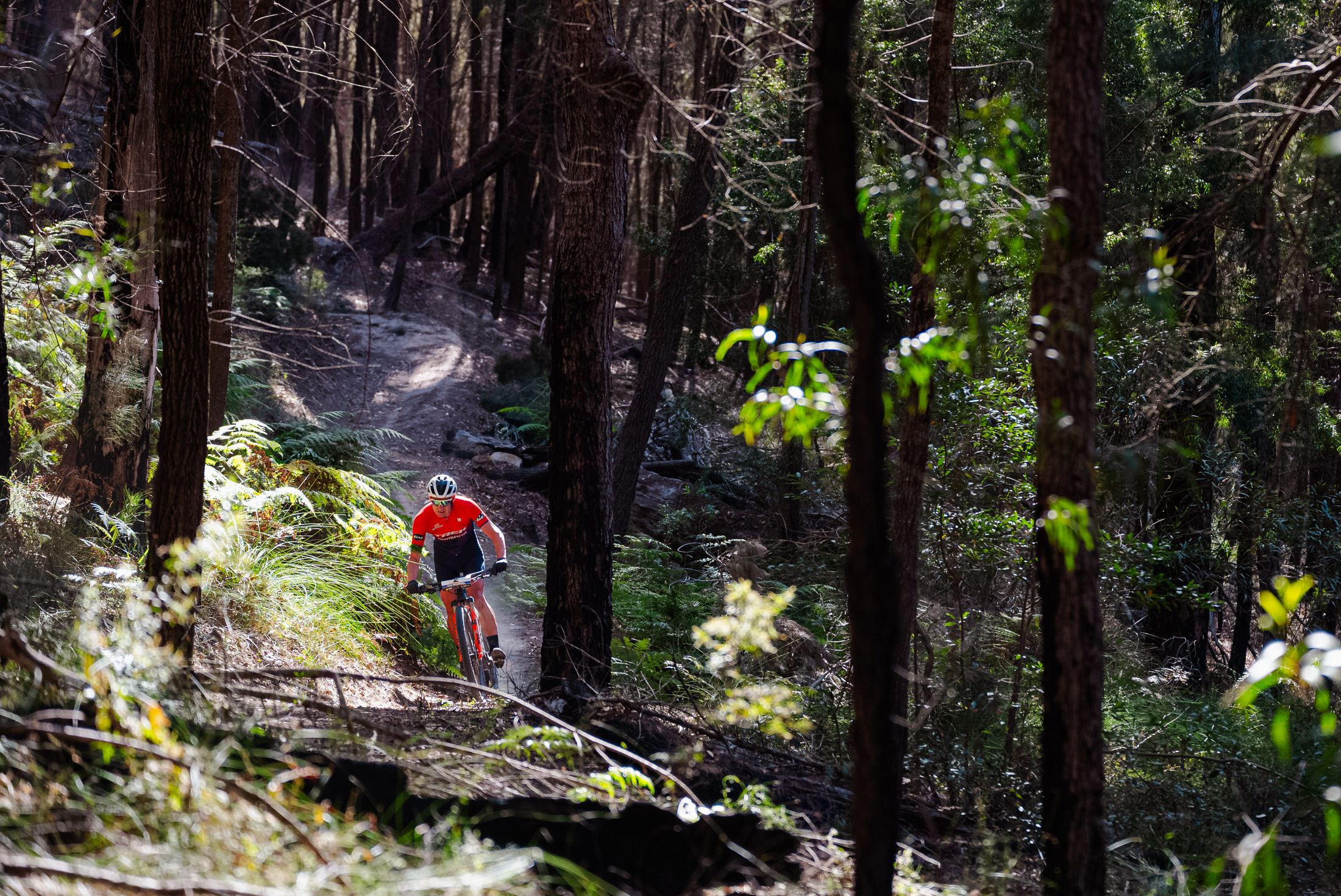 Welcome to Eden | Quad Crown The Orca gives riders an exclusive first ...
